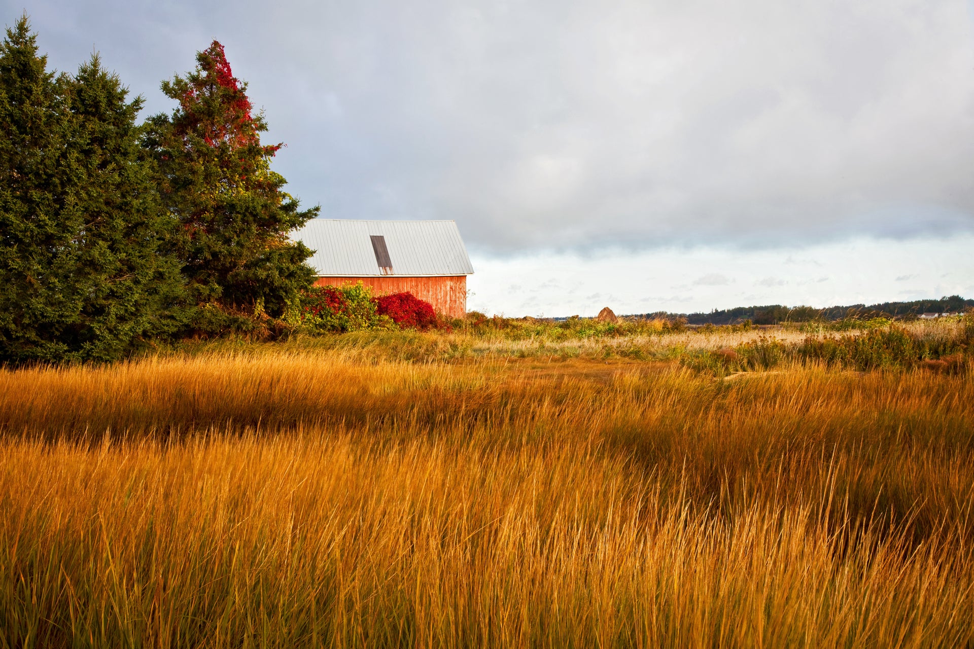 Contact – Caldera Distilling Inc.